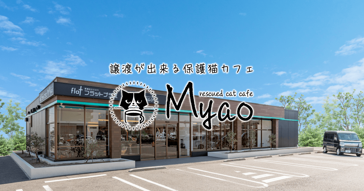 Myao’s Family兵庫南店 | 譲渡が出来る猫カフェ rescued cat cafe Myao